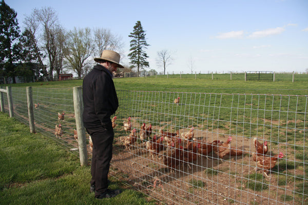 Millport Dairy - Dairy and Eggs - Free-Range - Lancaster, PA ...